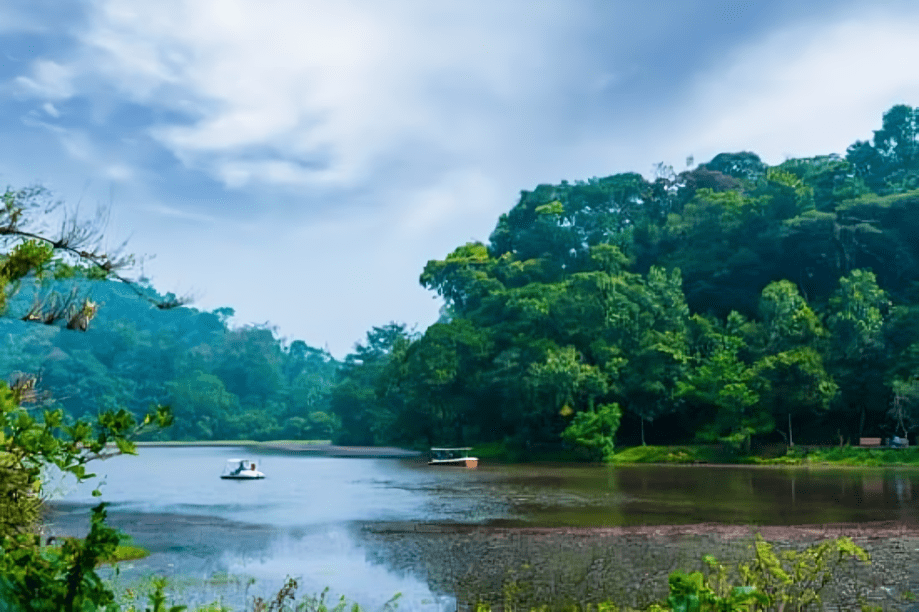 #1 Coorg tour package: Best Travel Agency in mysore
